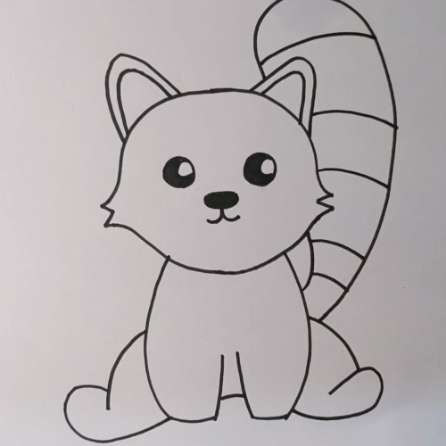 How to Draw a Red Panda| In 6 Simple Steps