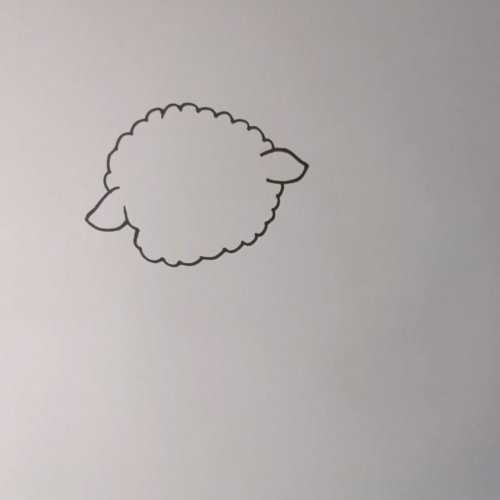 Learn How to Draw a Sheep| A Step-by-Step Guidelines
